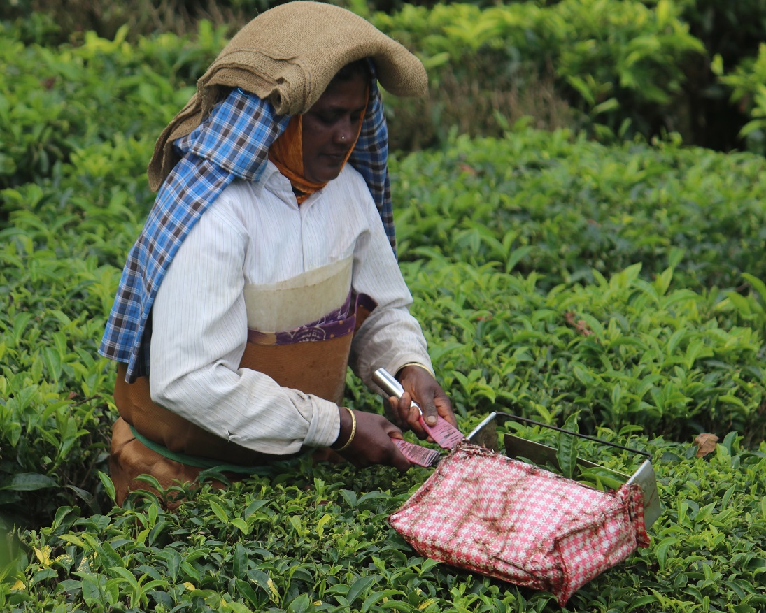 The classroom at 6500 feet | Carafewerk